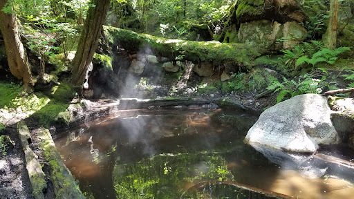 10 Best Hot Springs in Alaska: Info, Map, Temperature, Pricing