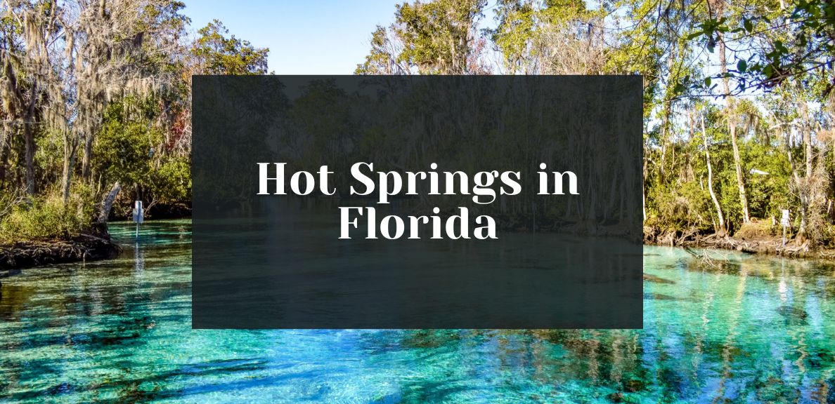Best Hot Springs in Louisiana: Info, Map, Pricing