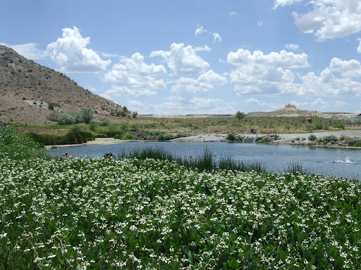 Panaca Warm Springs: Info, Price, Temperature and Features