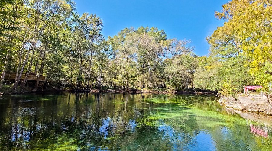 22 Best Hot Springs in Florida: Info, Map, Pricing